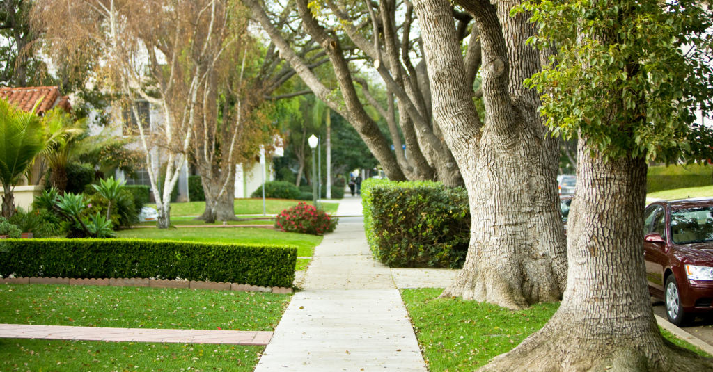 Love Where You Live: Suburb Hotspots for 2026 - Settle Easy